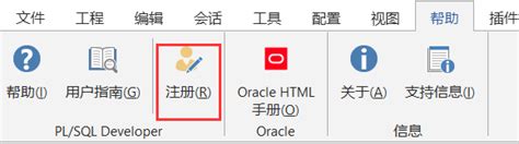 Plsql Developer13破解汉化plsql Developer13汉化包 Csdn博客