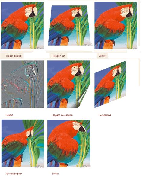 Corel Draw X Mapas De Bits