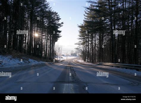 Tree Lined Road In Winter Stock Photo Alamy