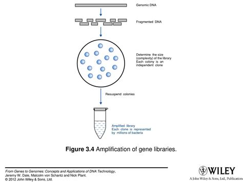 Genomic Library Ppt