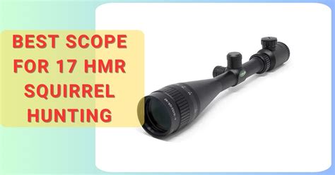 Best Scope For 17 Hmr Squirrel Hunting In 2025 [june Updated]