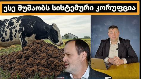 როგორ გვასვეს ნეხვიანი რძე და როგორ შერჩათ ილია ღლონტი Youtube