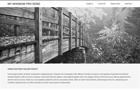 How To Replace Tagline Section With A Widget Area Only On Homepage In Minimum Pro Sridhar Katakam