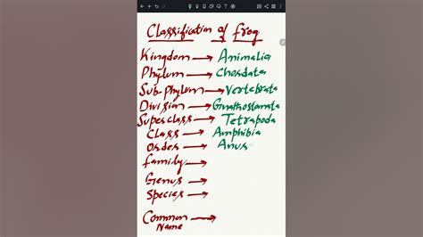 Taxonomic Classification Of Frog Youtube