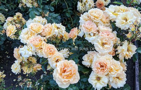 Art Chill Space阿丘展覽空間 不一樣畫法，呈現出不一樣的風景 風景除了畫筆之外， 也可以用筆刀呈現出來唷！ Artmakesyouhappy 台北 手作 誠品生活新板