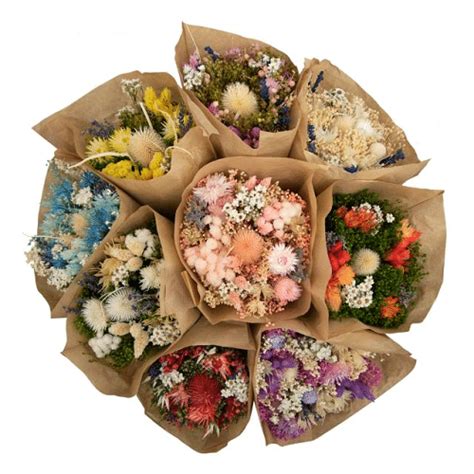 Dried Wildflower Mini Bouquets 30 Bqts Buy Wholesale Flowers Jr Roses