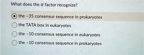 Solved What Does The Sigma Factor Recognize The 35 Consensus Sequence In Prokaryotes The Tata