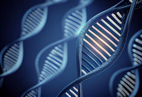 Premium Ai Image Dna Model Human Genetic Inheritance Ai Generated