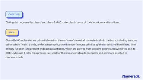 Solved Distinguish Between The Class 1 And Class 2 Mhc Molecules In Terms Of Their Locations And