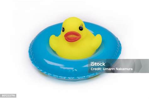 수영 풀에 있는 팽창 식 장난감 오리 클리핑 패스와 함께 여름을 위한 절연 튜브 수영 갈색에 대한 스톡 사진 및 기타 이미지 갈색 고무 공 스포츠 장비 Istock