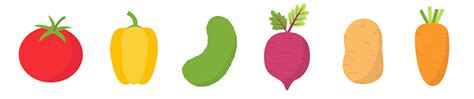 야채 아이콘 설정 라인입니다 뿌리 사탕무 당근 감자 후추 감자 토마토 파프리카 오이 어린이 교육 야채 수집 다른 색상 플랫 디자인 흰색 배경 0명에 대한 스톡 벡터 아트 및