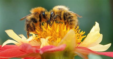 Using Ebpf To Debug Ebpf Stackstate Acquired By Suse