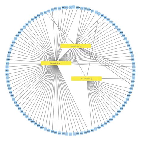 Functional Analysis Of The Prognostic Signature In Tcga Coad Cluster