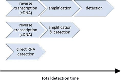 Different RNA Detection Formats Download Scientific Diagram