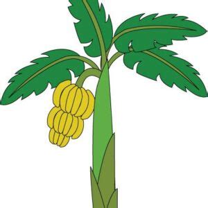 Netley Primary Babe Welcome