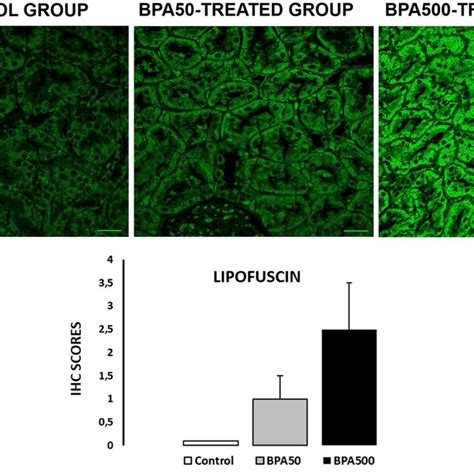 The Serum Osmolality Mmol Kg And Hematocrit Of Control And Download Scientific Diagram