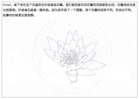 用铅笔画荷花怎么画 铅笔画荷花图画 铅笔画荷花儿童画 大山谷图库