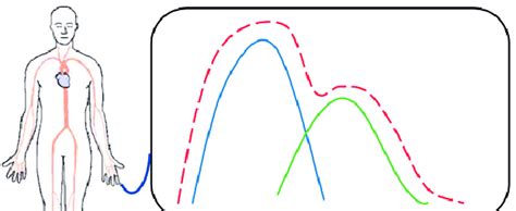 PPG Signal Waveform Diagram Download Scientific Diagram
