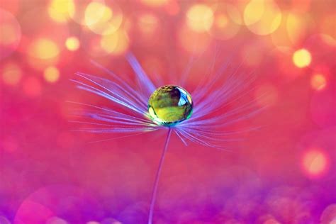 【厚生年金】「まさかの月9100円負担増 」約243万人に影響《標準報酬月額》どうなる？ 「高所得者は厚生年金保険料が上がる？」【標準報酬月額】上限引き上げの全貌 Limo くらしと