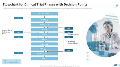 Flowchart For Clinical Trial Phases With Decision Points Research