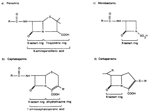 1 Chemical Structures Of β Lactam Antibiotics Adapet From Yao