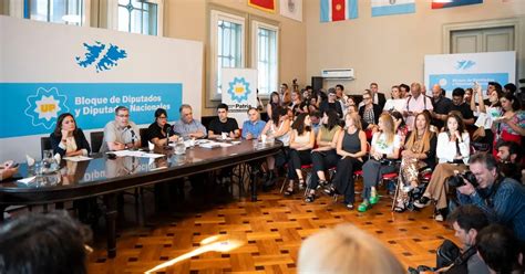 Diputados De Unión Por La Patria Denuncian Proscripción Contra Cfk Y La