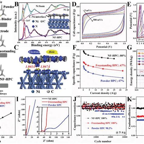 A Schematic Diagram For Electron Conducting Pathways Within The Download Scientific Diagram