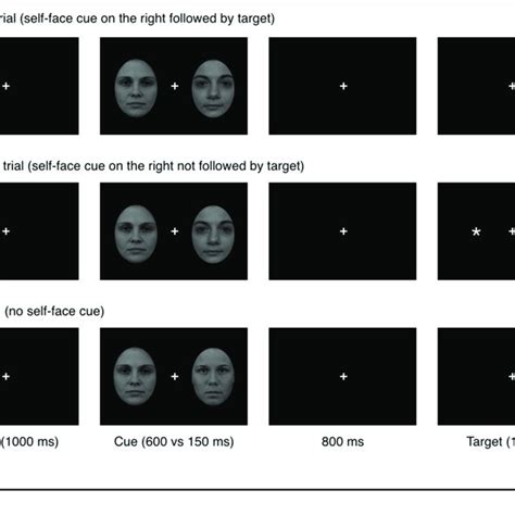 Experiment 1 A Sequence Of Events In A Single Experimental Trial In