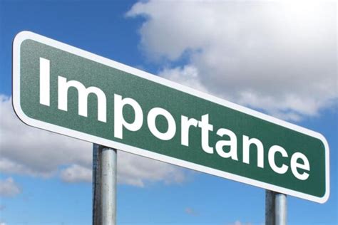 The Importance Of Research Skills In Assignment Writing Makemyassignments Blog