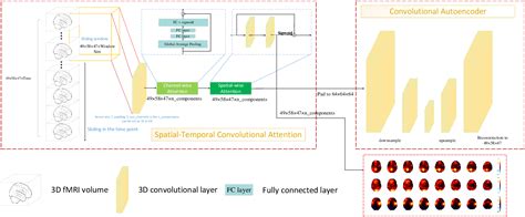 Spatial Temporal Convolutional Attention For Mapping Functional Brain