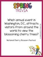 Best Spring Trivia Questions And Answers