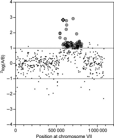 Transcriptome Comparison Of A Genetically Engineered Saccharomyces Download Scientific Diagram