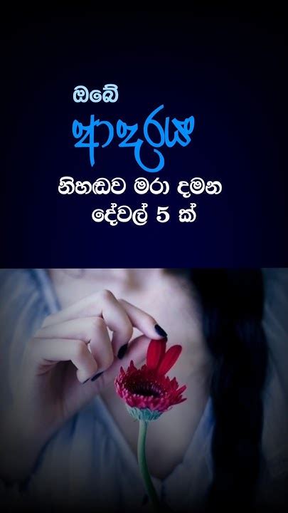 ආදරේ මිය යන්න කළින් 🥀 Lovestory Love Sinhala Adaraya Youtube