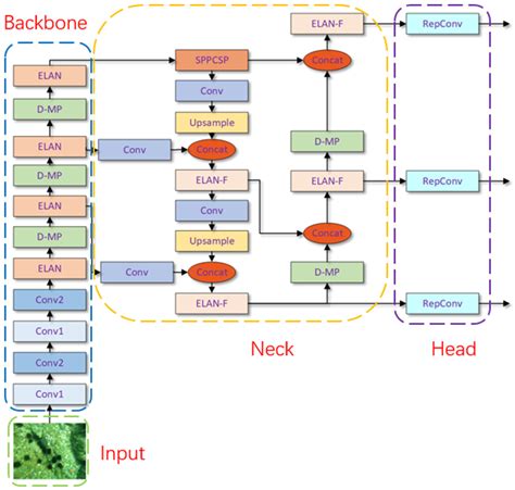 underwater ycc underwater target detection optimization algorithm