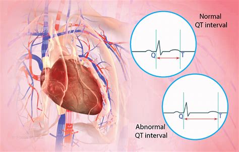 Health Condition Symptoms Causes Treatment And More