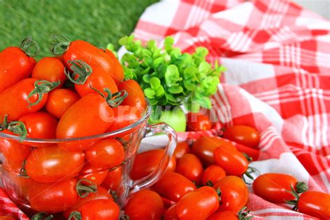 토마토 대추방울토마토 과일 야채 식품 사진이미지일러스트캘리그라피 Nstonekwak작가