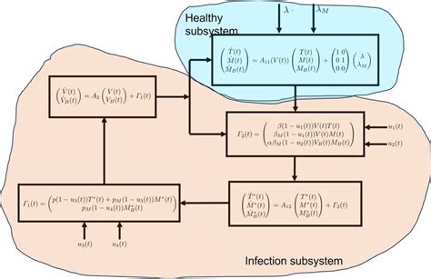 Block Scheme Of The Systems Putting In Evidence The Reciprocal Download Scientific Diagram