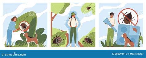 Insects Composition Set Stock Vector Illustration Of Collection
