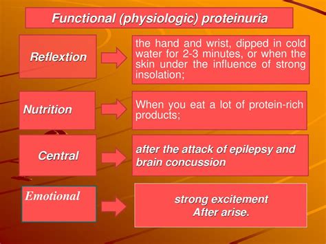 Lector Docent Rakhimova Мe Ppt Download