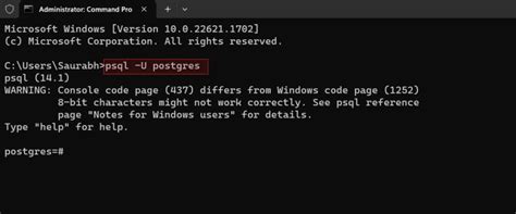 How To Set Postgresql User Password