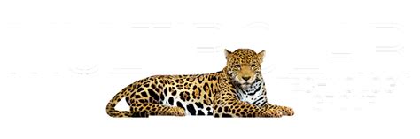 About Multipolar Technology Multipolar Technology