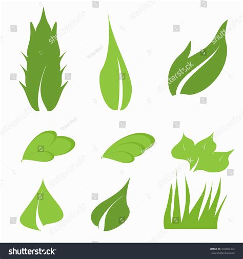 Set Leaf Element Stock Vector Shutterstock