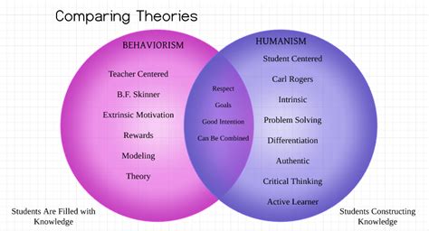 Comparing Theories My Future Learning Environment