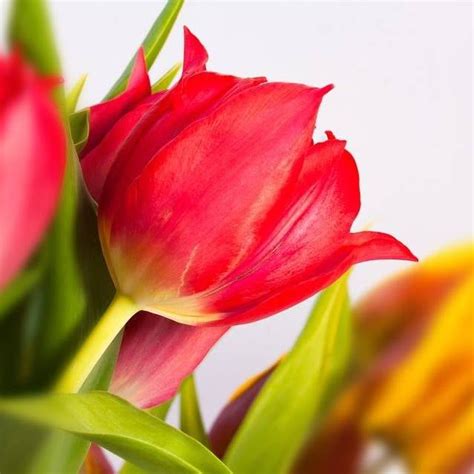 ดูดวงกันค่ะ เสื้อผ้าผู้หญิง เดรส ชุดทำงาน กระโปรง เครื่องประดับ หินมงคล Hollyhockgal