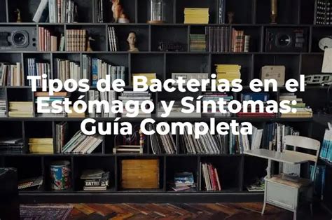 Tipos De Bacterias En El Est Mago Y S Ntomas Gu A Completa