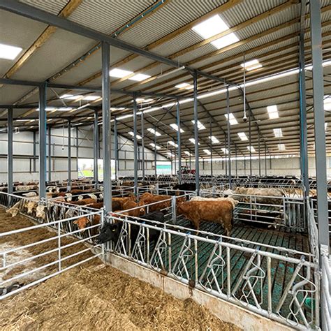 Beef Cattle Housing