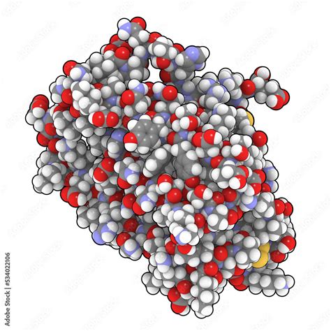 Interferon Alpha 2a Ifna2 Molecule 3d Rendering Pegylated Analogs Of This Cytokine Are Used