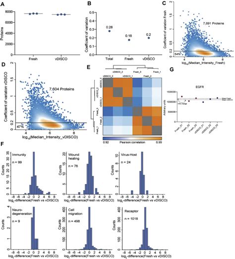 Spatial Proteomics In Three Dimensional Intact Specimens Cell