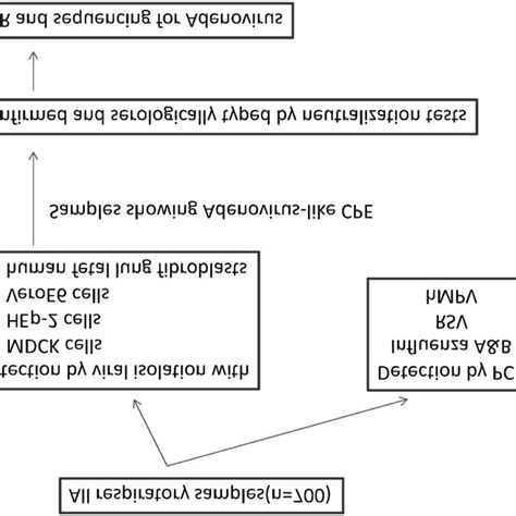 Flow Chart For Detection Of Respiratory Viruses Download Scientific Diagram