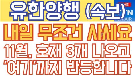 유한양행 주가전망 분석 속보 내일 무조건 사세요 11월에만 호재 3개 나오고 바로 여기까지 급등합니다 Youtube